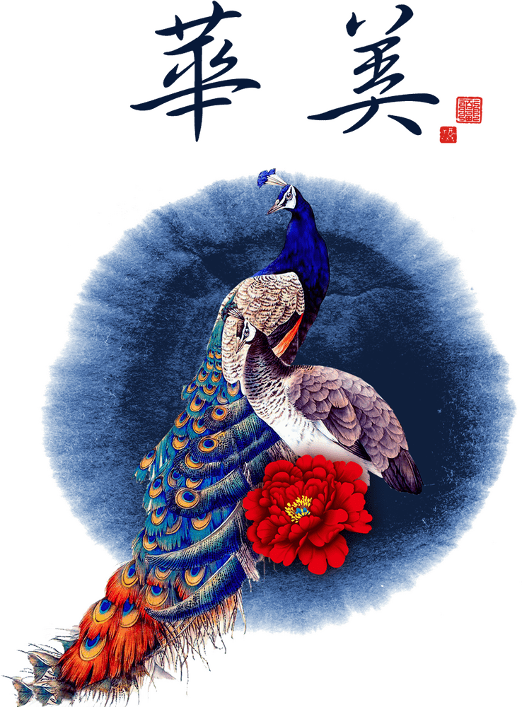 Peacock Elegance in Vibrant Harmony PNG free download