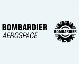 Bombardier vector - for free download