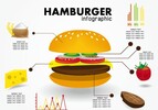 Creative food infographics elements vector 04 free download