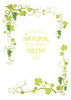 Grapes tree frames natural background vector 04 free download