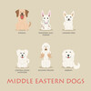 Middle eastern dogs icons vector free download