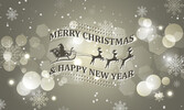 Christmas with new year reindeer and snowflake vector background 02 ...