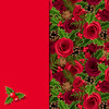 Christmas card with red rose vector free download