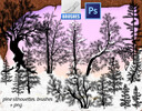 Pine Tree Photoshop Brushes free download