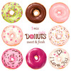 Cute donuts design vectors 01 free download
