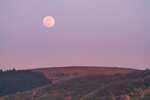 Beautiful moon scene on hill Stock Photo free download