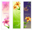 Lily banner 1 vector set free download