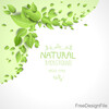 Eco frame with green leaves vector free download