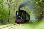 Small steam locomotive Stock Photo free download
