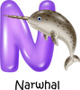 Narwhal and alphabet vector free download
