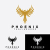 Three color phoenix business logo design vector free download