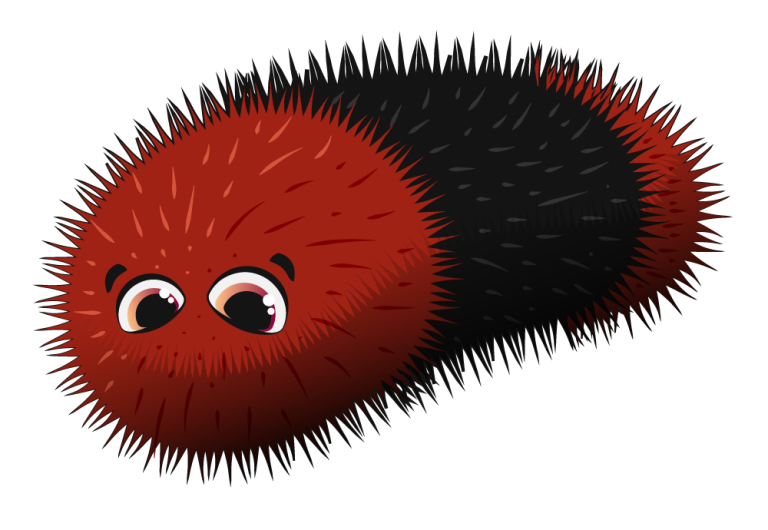 Woolly bear caterpillar cartoon clipart free download
